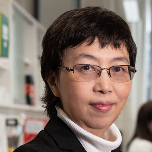 Dong Feng Chen, MD, PhD - World Medical Innovation Forum